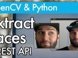 Opencv Python Extract Faces With A Rest Api Coding For Entrepreneurs
