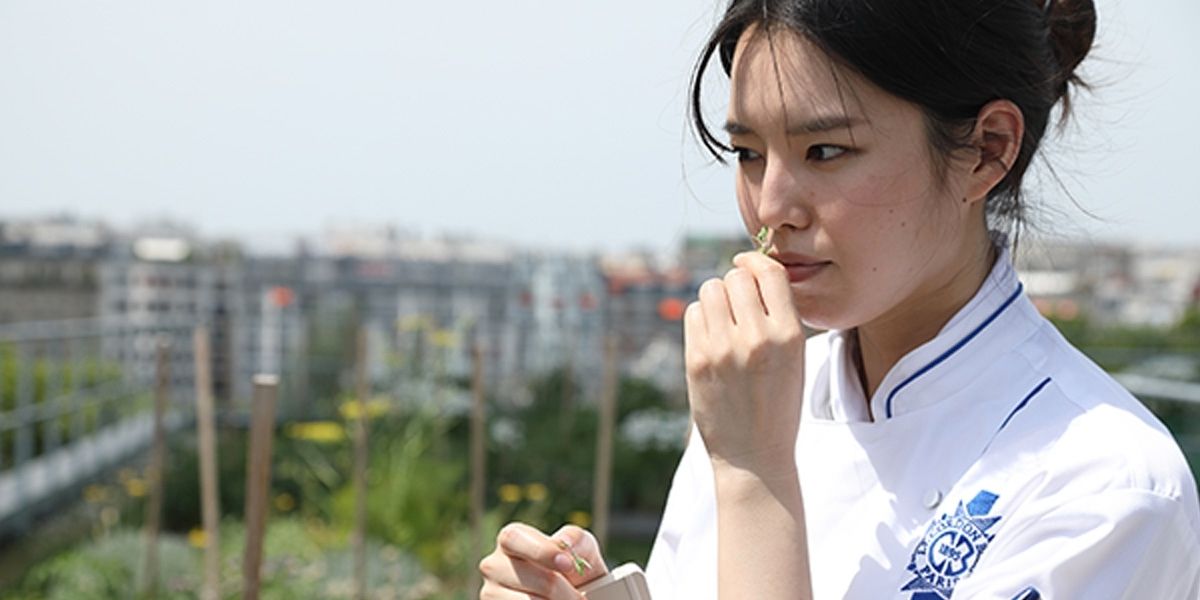 Sustainability In Gastronomy