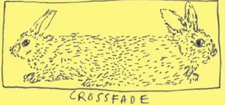 Explaining The Basics Of Audio With A Rabbit