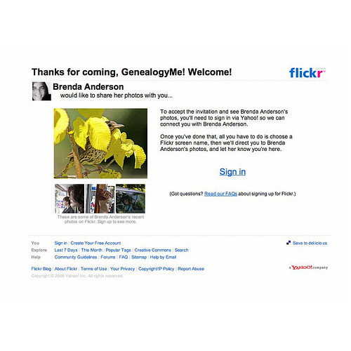 Creating a Flickr Account (Step by Step) | Deliberate.Serendipity