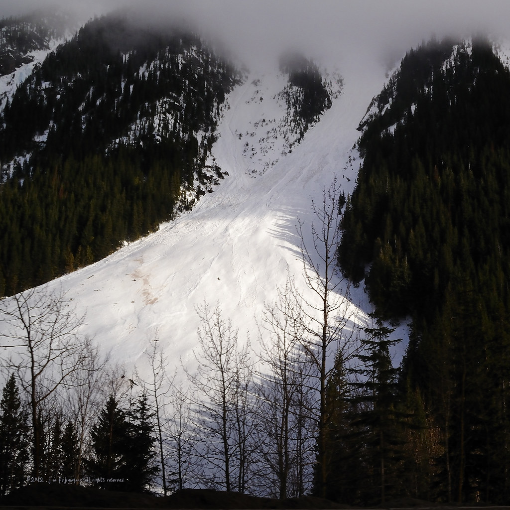 Slide Path | The Stentorian Image