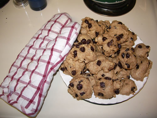 I Know You Want My Cookies | Distracted by Something Shiny