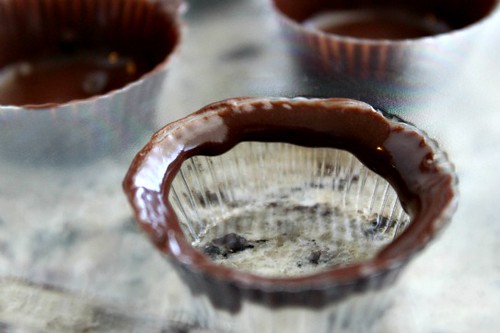 Dark Chocolate Coconut Ice Cream Bites | Changing My Destiny