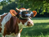 Funny Ai Image Generator Create Hilarious And Creative Ai Pictures