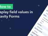 How To Display Gravity Forms Field Values Gravitykit