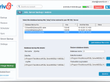 Restore Sql Server Data From Idrive Cloud