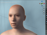 Getting Started Makehuman Community
