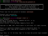 Display Default Mysql Root Password Lemp Stack