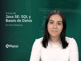 Curso De Java Se Sql Y Bases De Datos