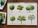 How To Draw A Tree Using Watercolor