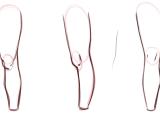 Simple Leg Drawing