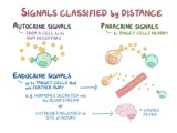 Common Cell Signaling Pathway Channels For Pearson