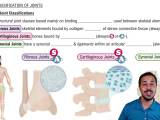Functional Joint Classifications Study Prep In Pearson