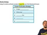 Protein Purification Video Tutorial Practice Channels For Pearson