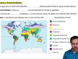 Introduction To Terrestrial Biomes Channels For Pearson