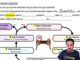 Scientific Method Quiz 1 Flashcards Study Prep In Pearson