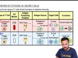 Helper T Cells Microscope
