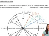 Trig Reference Angles Unit Circle Reference Angle Shireline Graphic