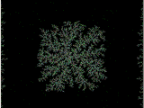 Brownian Tree C Animated Rosetta Code