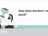 How Does Workers Comp Work Zippia