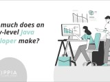 How Much Does An Entry Level Java Developer Make Zippia