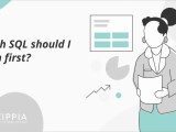 Which Sql Should I Learn First Zippia