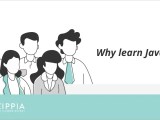 Why Learn Java Zippia