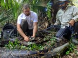 Largest Snake In The World