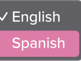 Spanish Codehs