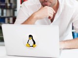 7 Superb Reasons Why You Should Use Linux For Programming