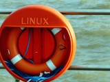 How To Get The Best Support On Linux Forums