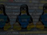 The 7 Best Vpns For Linux