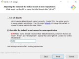 How To Install Git And Git Bash On Windows