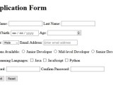 How To Create A Form In Html With Example At Kate Wardill Blog