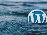 The 7 Best Wordpress Image Optimization Plugins