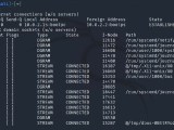 A Simple Guide To Using The Netstat Command In Linux
