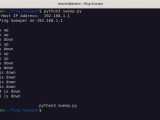 How To Build A Ping Sweeper In Python