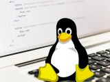 5 Bash Script Examples To Help You Learn Linux Programming
