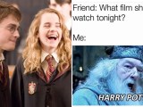 Harry Potter Movie Meme Pin By Deadly Netty On Pins By You Harry