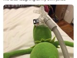 Muppets 10 Funniest Kermit The Frog Memes
