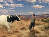 Young Sheldon Why There S A Cow In The Opening Sequence