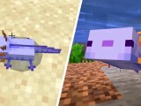 How To Spawn Rare Blue Axolotl In Minecraft At Wayne Tisdale Blog