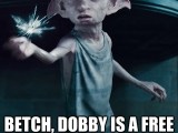 Harry Potter 10 Memes That Perfectly Sum Up Dobby As A Character