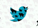 Twitter Confirms Some Verified Account Dms Were Accessed During Hack