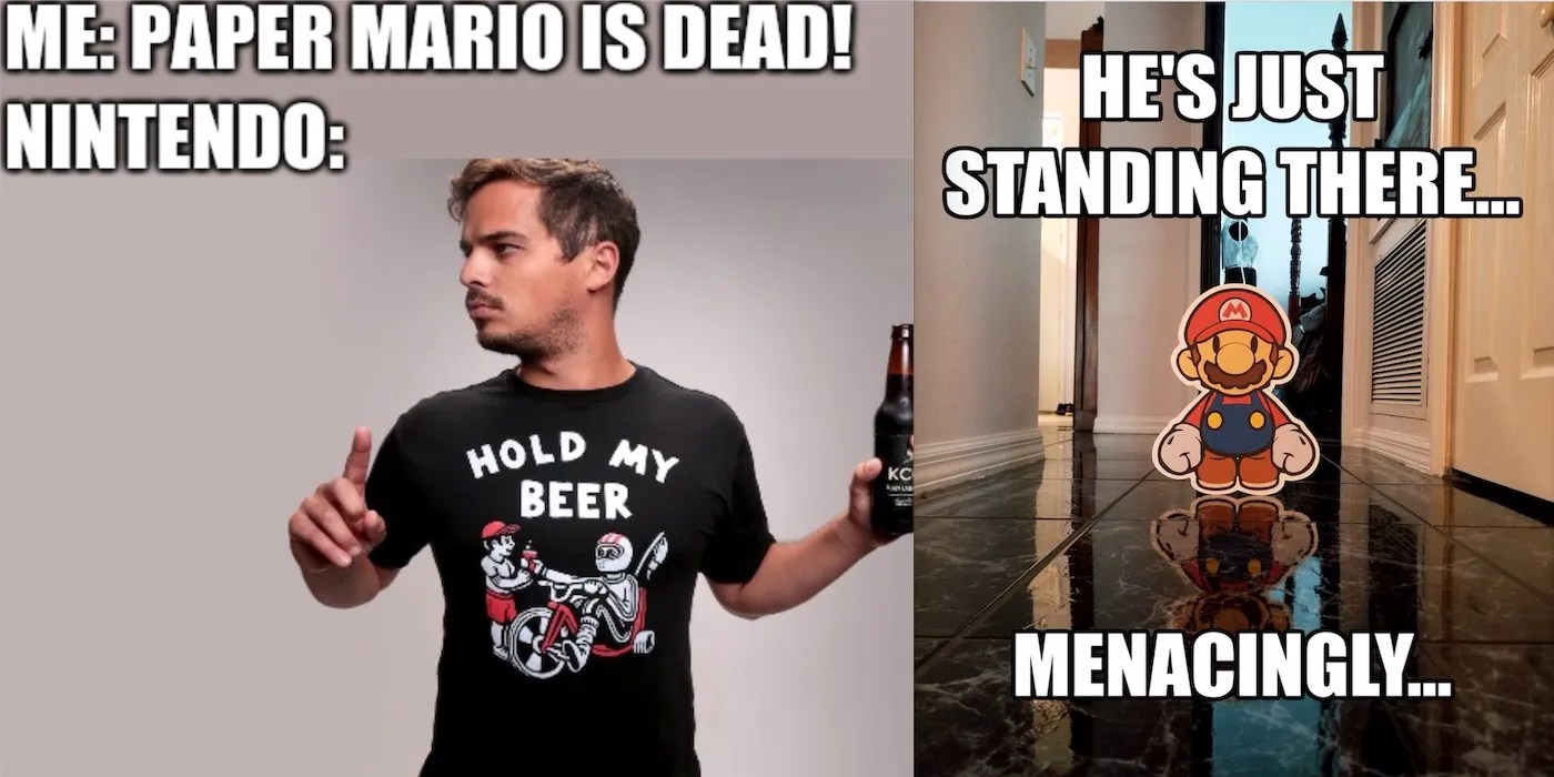 View 6 Paper Mario Bobby Memes - Tapaneria