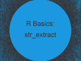 Str Extract Function In R Stringr Package Programming Example Code