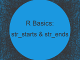 Str Starts Str Ends Functions In R 2 Examples Stringr Package