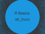 Str Trunc Function In R Example Stringr Package Programming Code