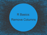 R Remove Multiple Columns From Data Table Example Delete Variables