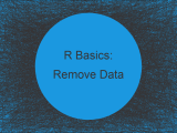 R Remove Multiple Data Objects Using Rm Function Clean Environment